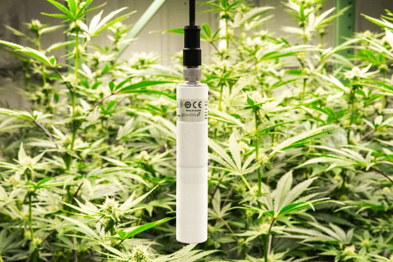 Growlink Grow Software | Optimize Your Cultivation with Data-Driven Control